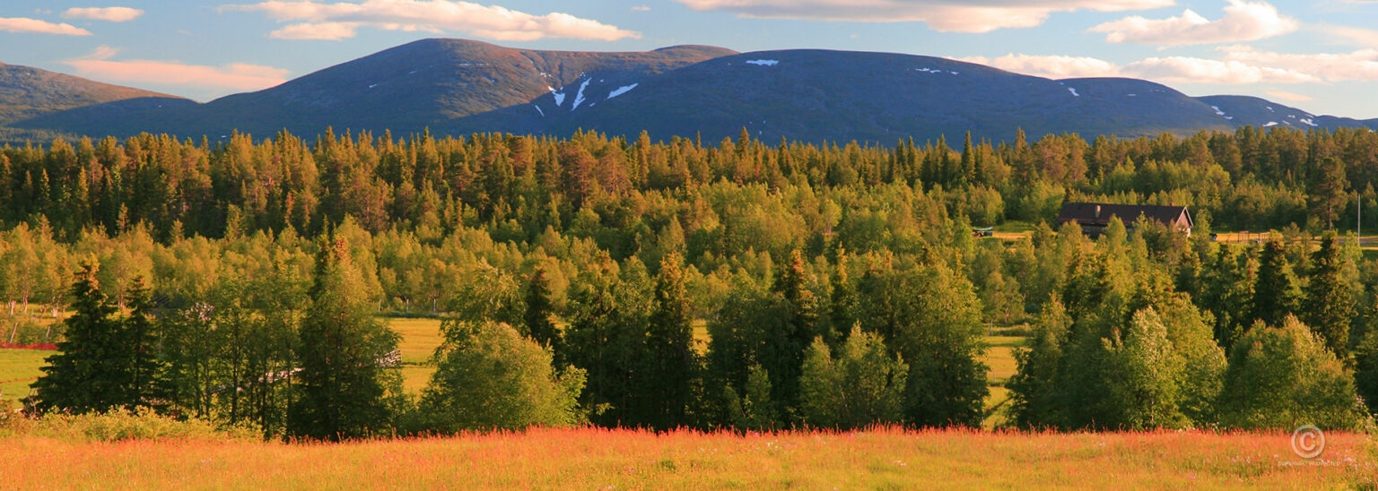 Lappi | Kuvia Lapista - Visual Finland -kuvapankki