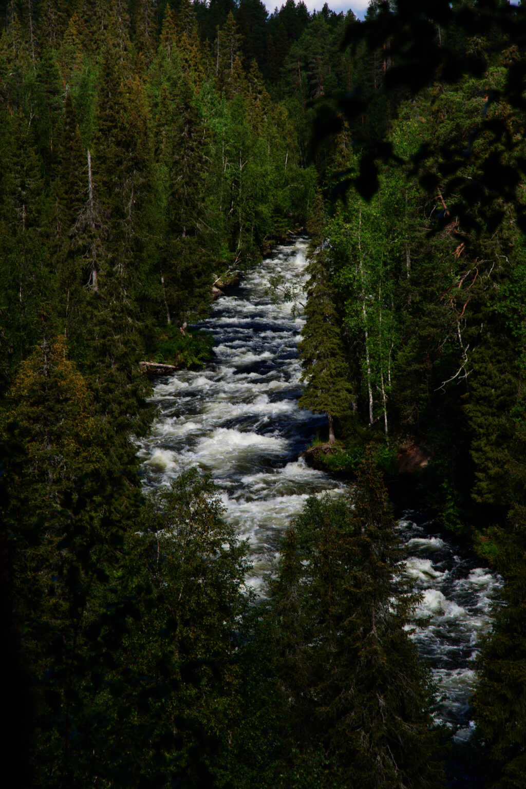 Luonto, kuvia | Luontokuvia Suomesta | Visual Finland -kuvapankki