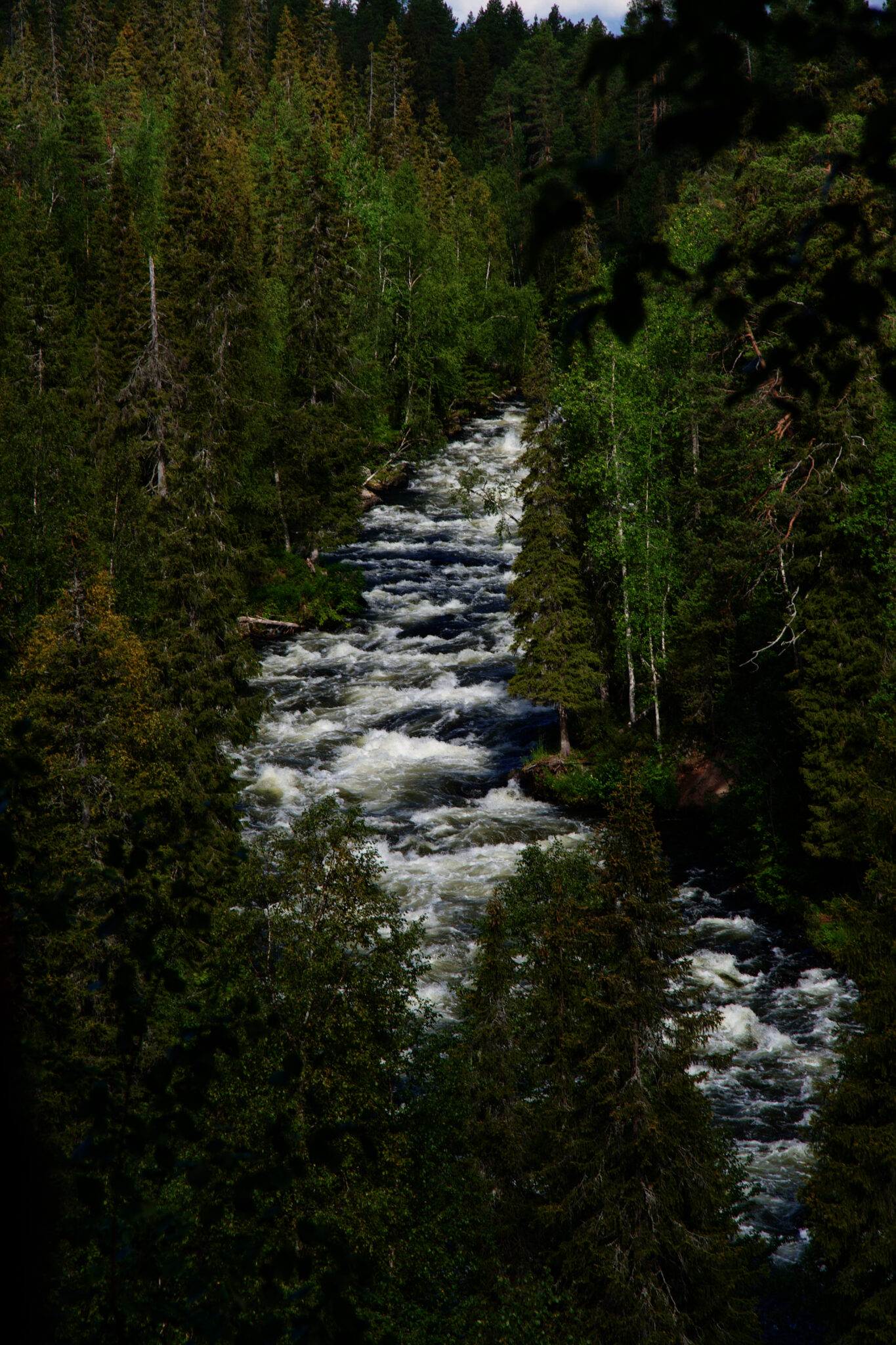 Luonto, kuvia | Luontokuvia Suomesta | Visual Finland -kuvapankki