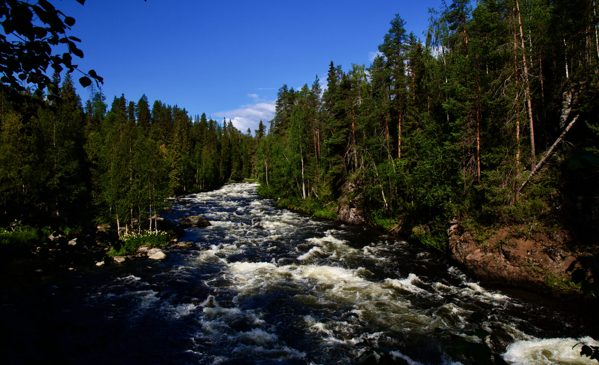 Luonto, kuvia | Luontokuvia Suomesta | Visual Finland -kuvapankki