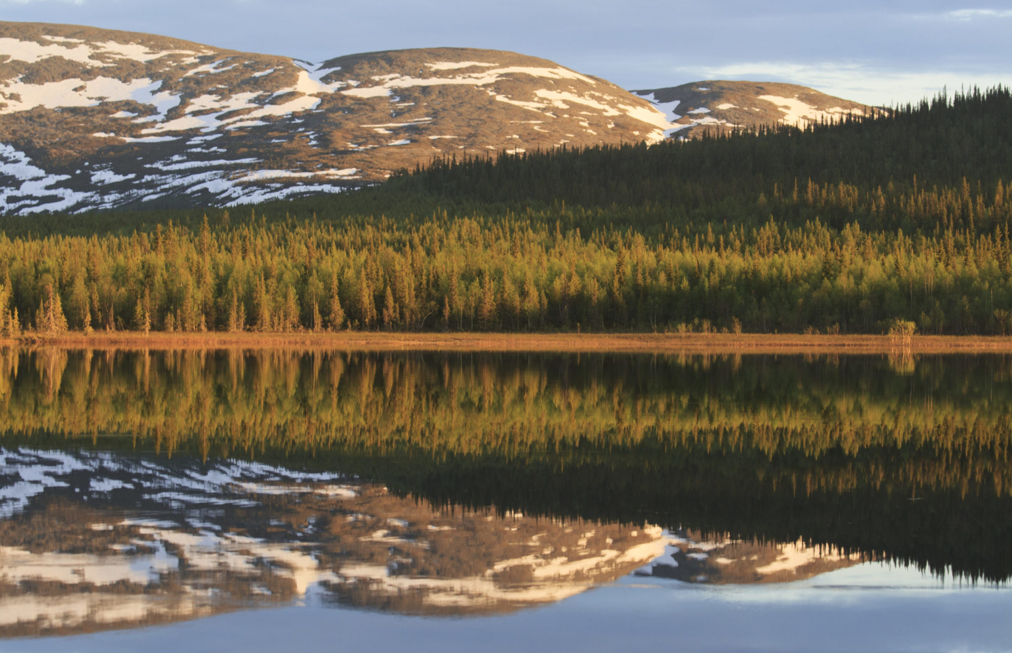 pallas-hetta | Kuvia | Visual Finland -kuvapankki