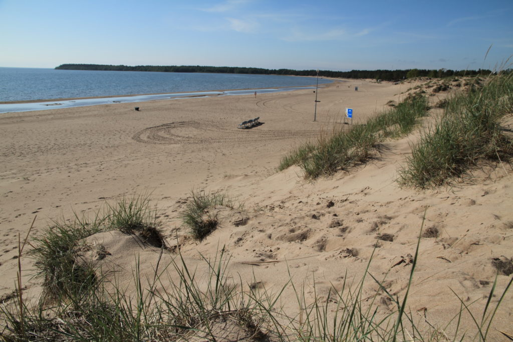 Kuva: dyynit Yyterin upealla rannalla Porissa | Visual Finland