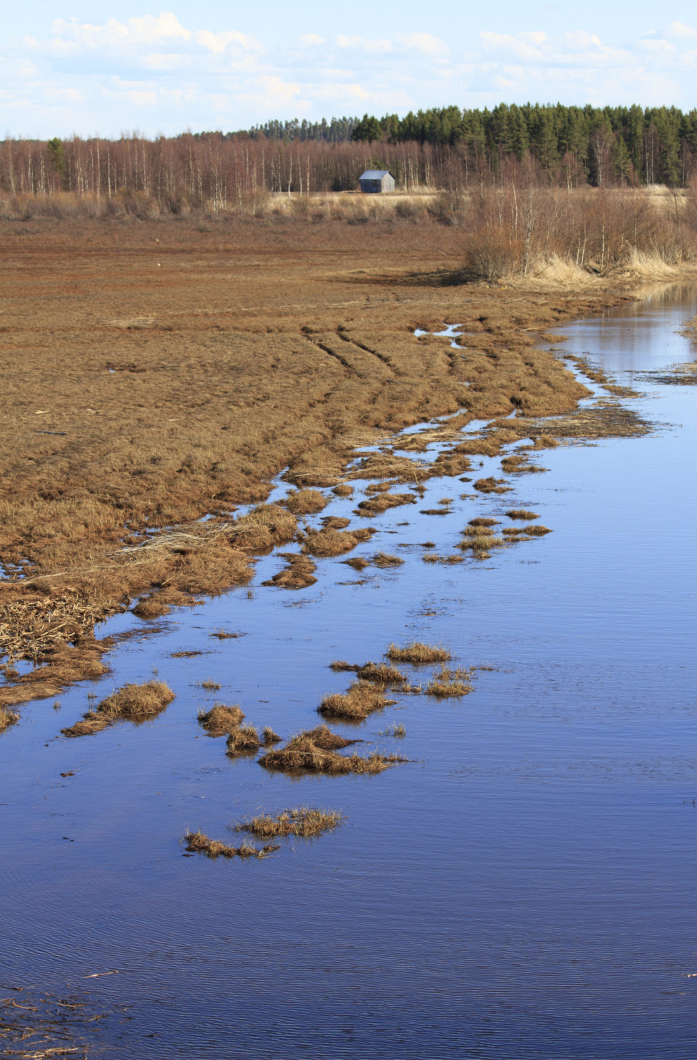 Maalaismaisema | Kuvia maaseudulta | Visual Finland -kuvapankki