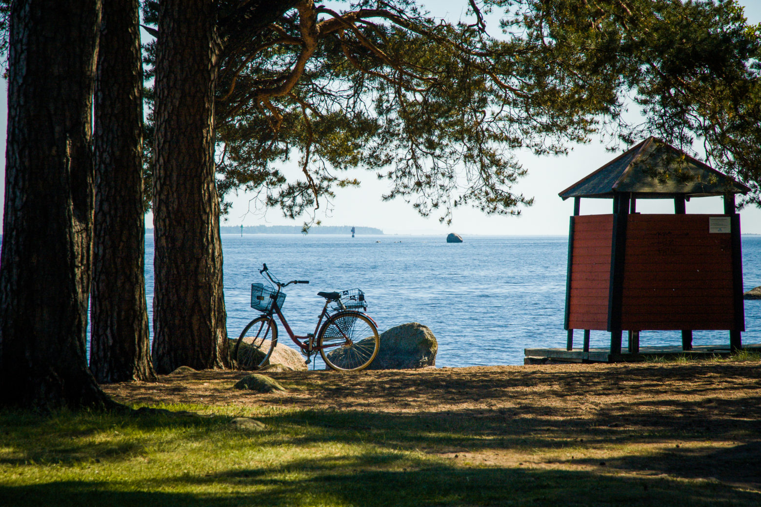 Kuva: kesän vapaus - pyöräilijä mäen päällä (Oulu) | Visual Finland