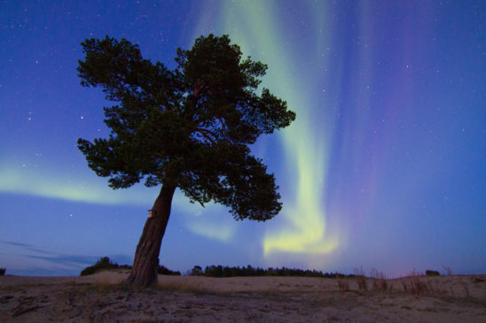 Lappi | Kuvia Lapista | Visual Finland -kuvapankki