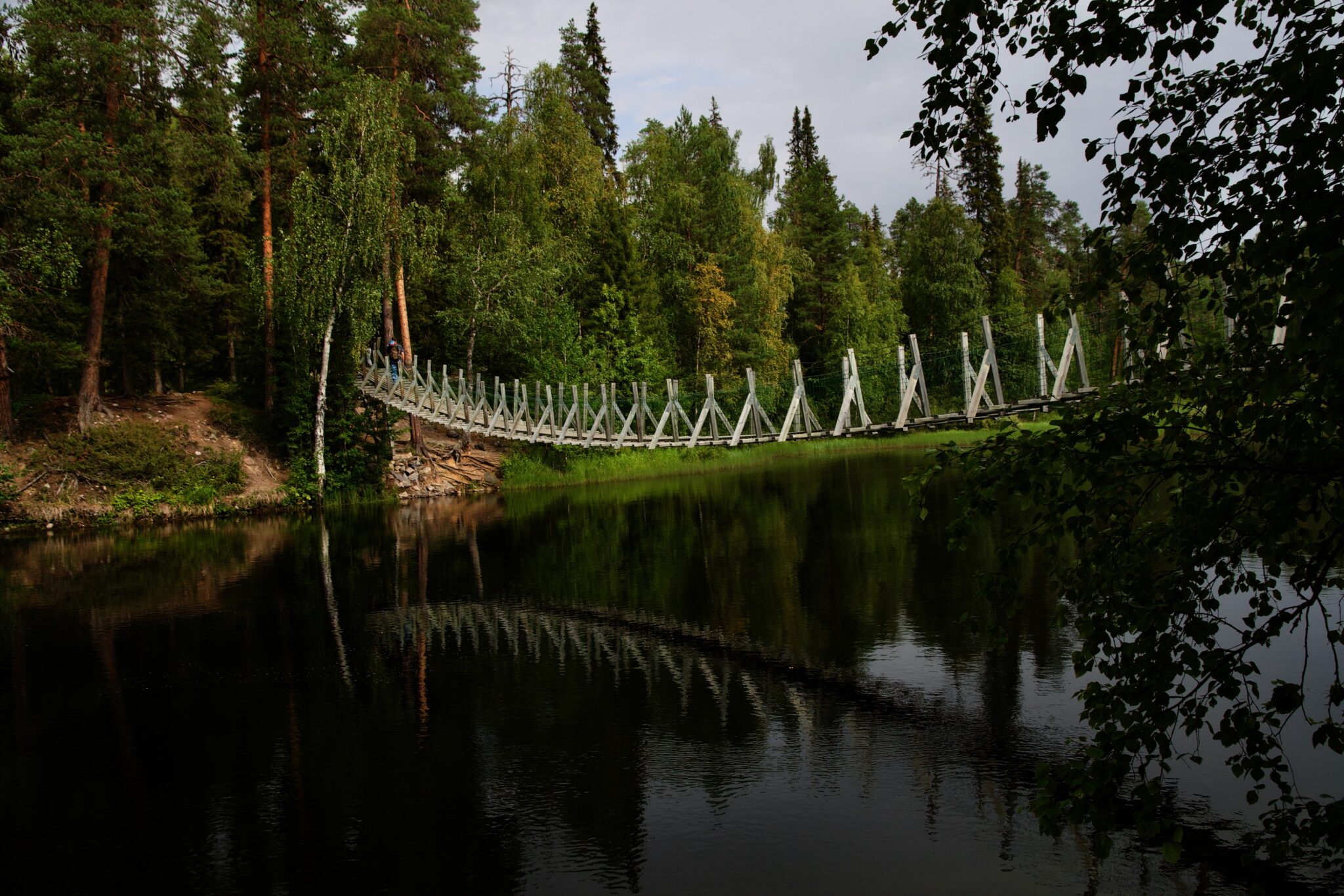 Kuva: Hieno riippusilta Pienen Karhunkierroksen varrella, Oulanka ...